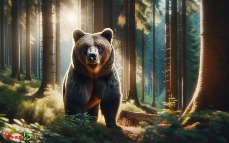 What Does The Un Symbol Mean? United Nations!